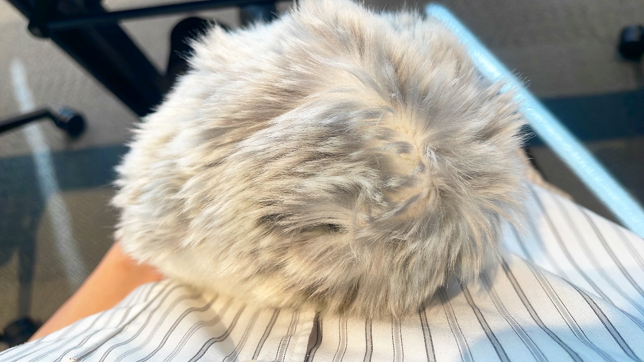 生き物の感情をデジタル化したAIペット？！モフモフの癒しロボット“Moflin（モフリン）”と初対面した感想-キレイスタイルニュース